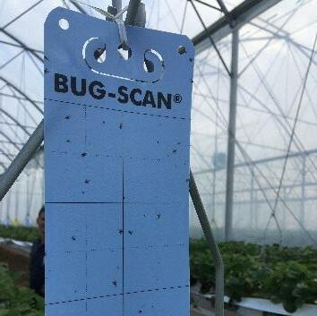 Catalogue Protection Biologique Intégrée 2022 by souffletvigne - Issuu