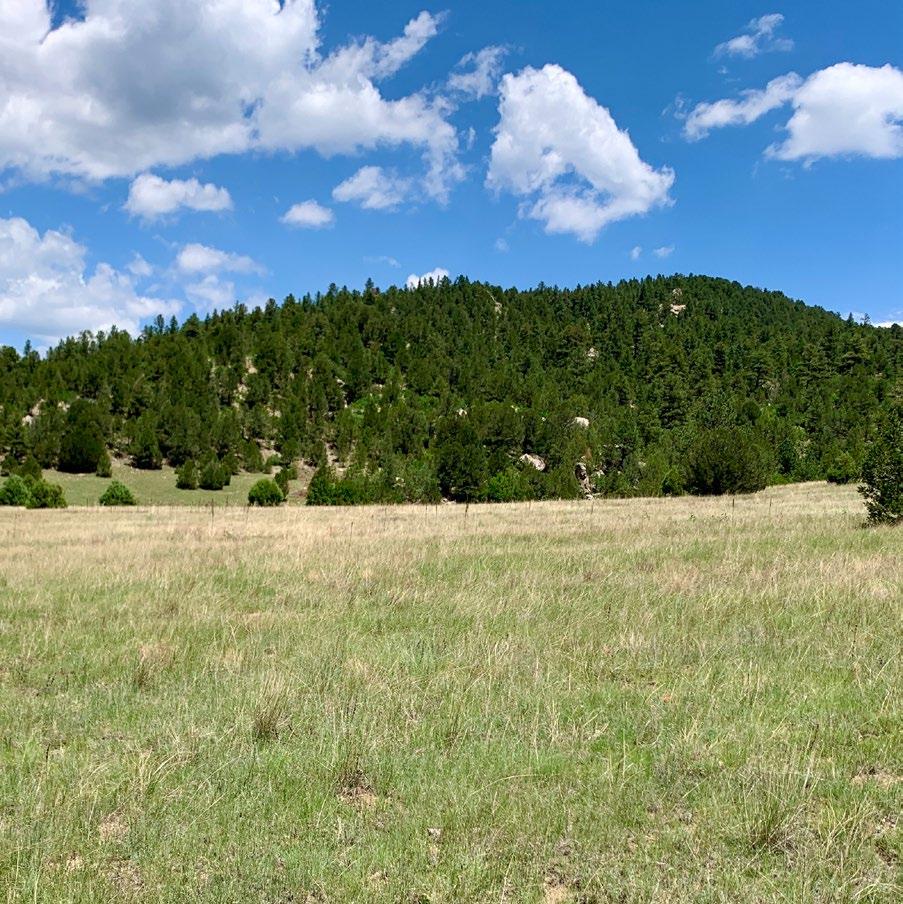 Romero Hills Ranch | Fay Ranches by Fay Ranches - Issuu