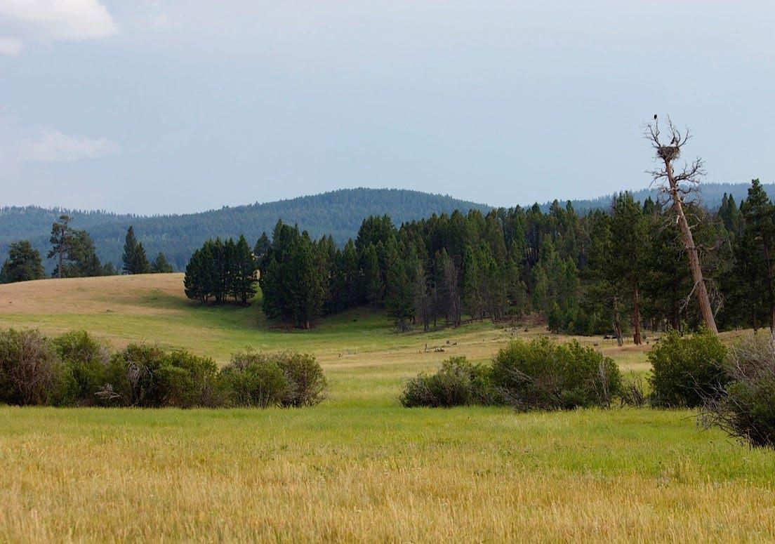 OFF THE MARKET: Montana Little Valley Ranch | Fay Ranches by Fay ...