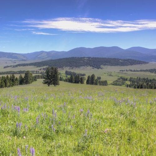 OFF THE MARKET: Montana Little Valley Ranch | Fay Ranches by Fay ...