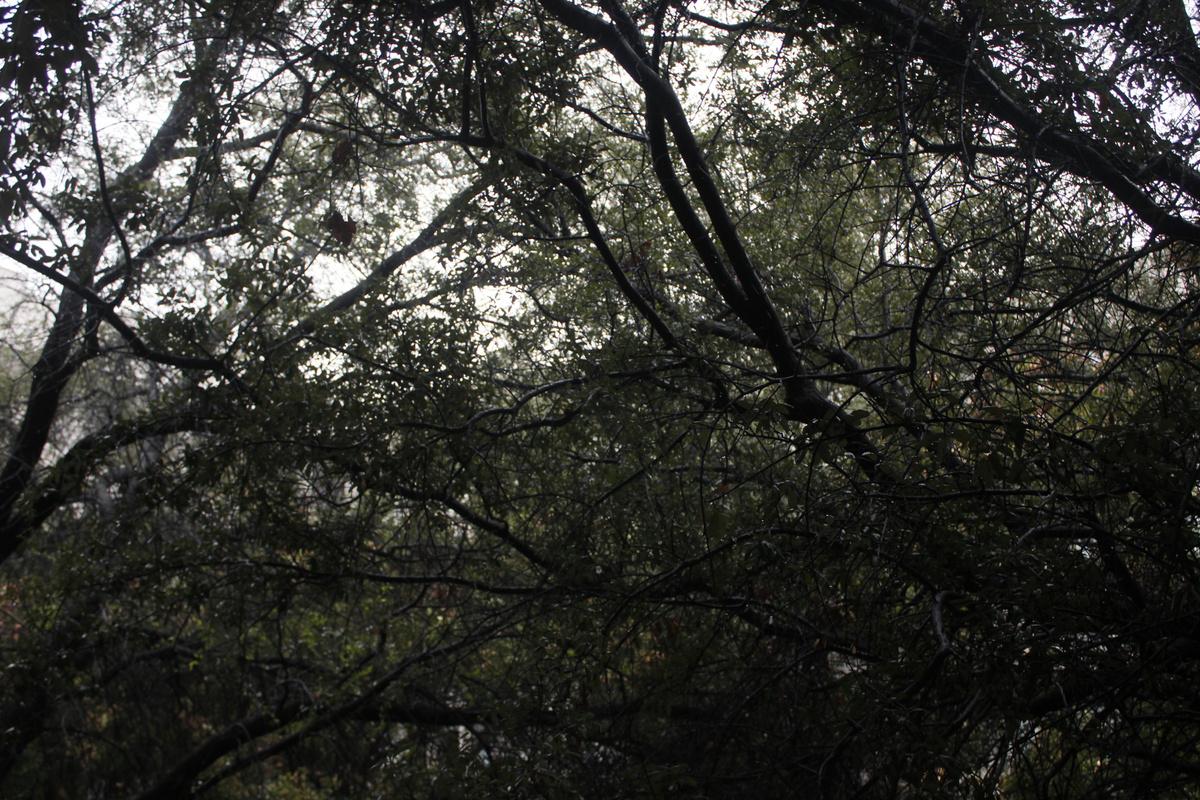 Portafolio - Evidencia 1 by Alma Graciela Macias Moreno - Issuu