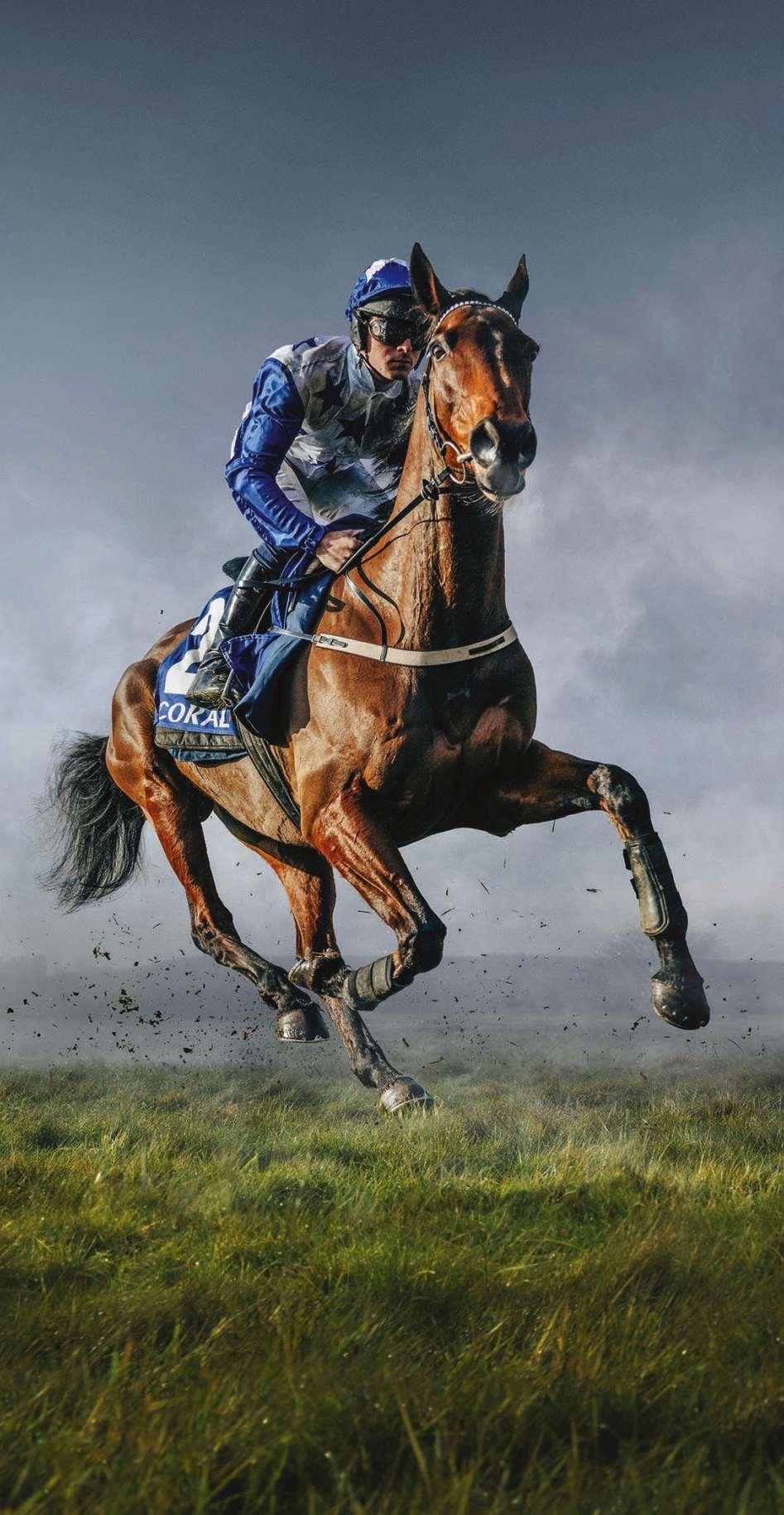 Ayr Racecard - Monday October 24th by Weatherbys - Issuu