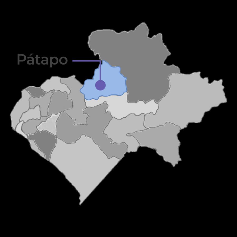 Análisis Macro y Micro - PÁTAPO by RUTH ABIGAIL CASTREJON VASQUEZ - Issuu