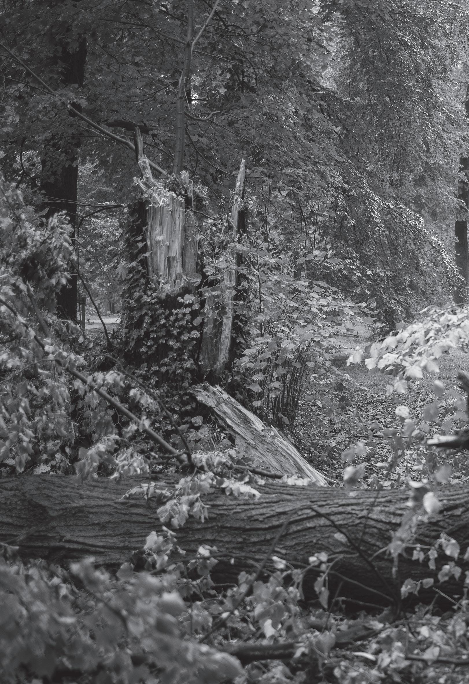 Gazetka GSW #3 / Szkoda słów by Galeria Sztuki Wspolczesnej - Issuu