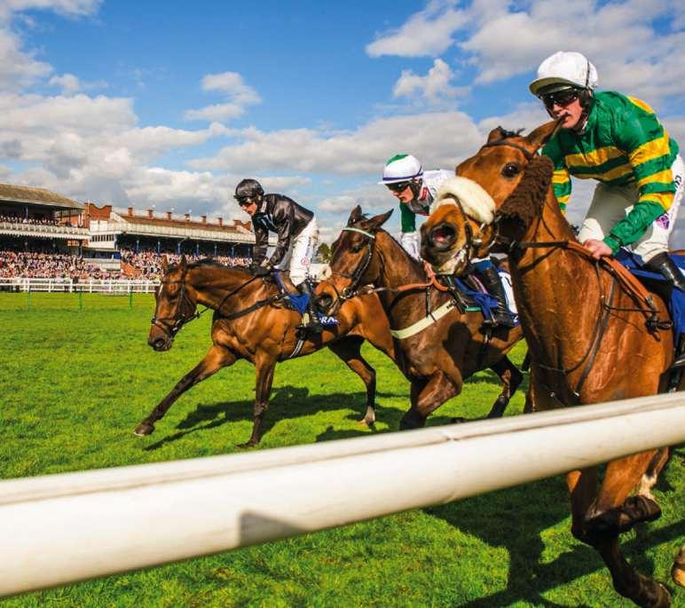 Ayr Racecard - Saturday 29th October by Weatherbys - Issuu