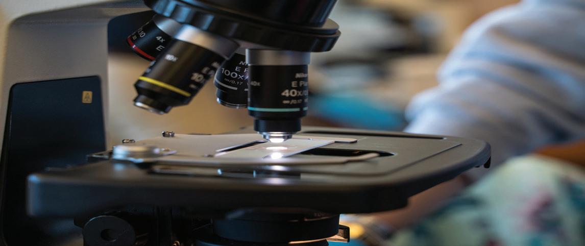 UIW Self-Guided Walking Tour by uiwtx1 - Issuu