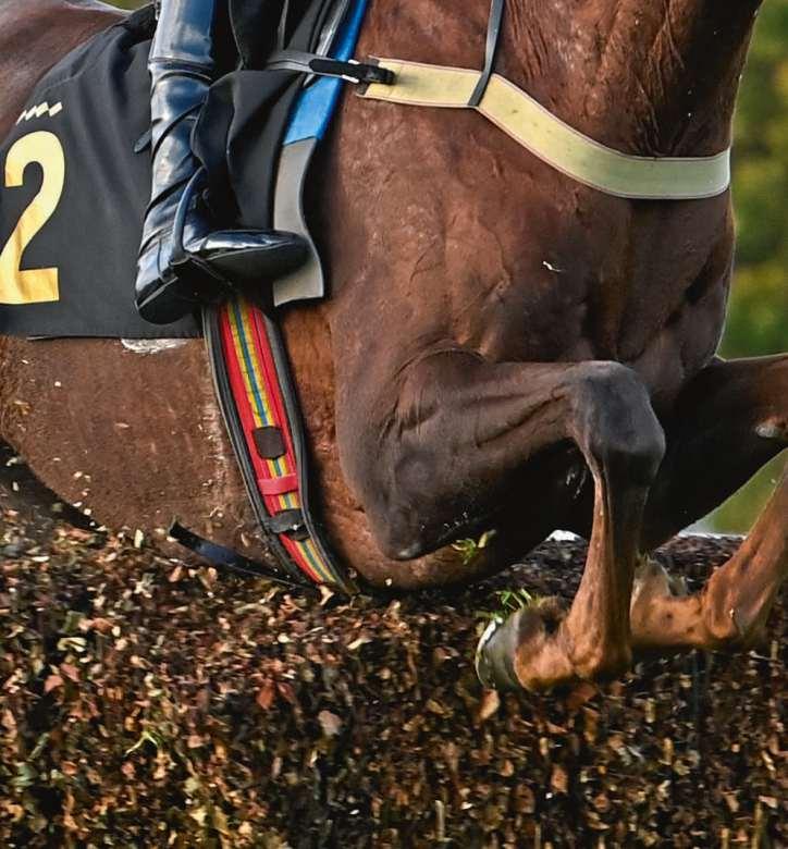 Huntingdon Racecard - Sunday 30th October by Weatherbys - Issuu