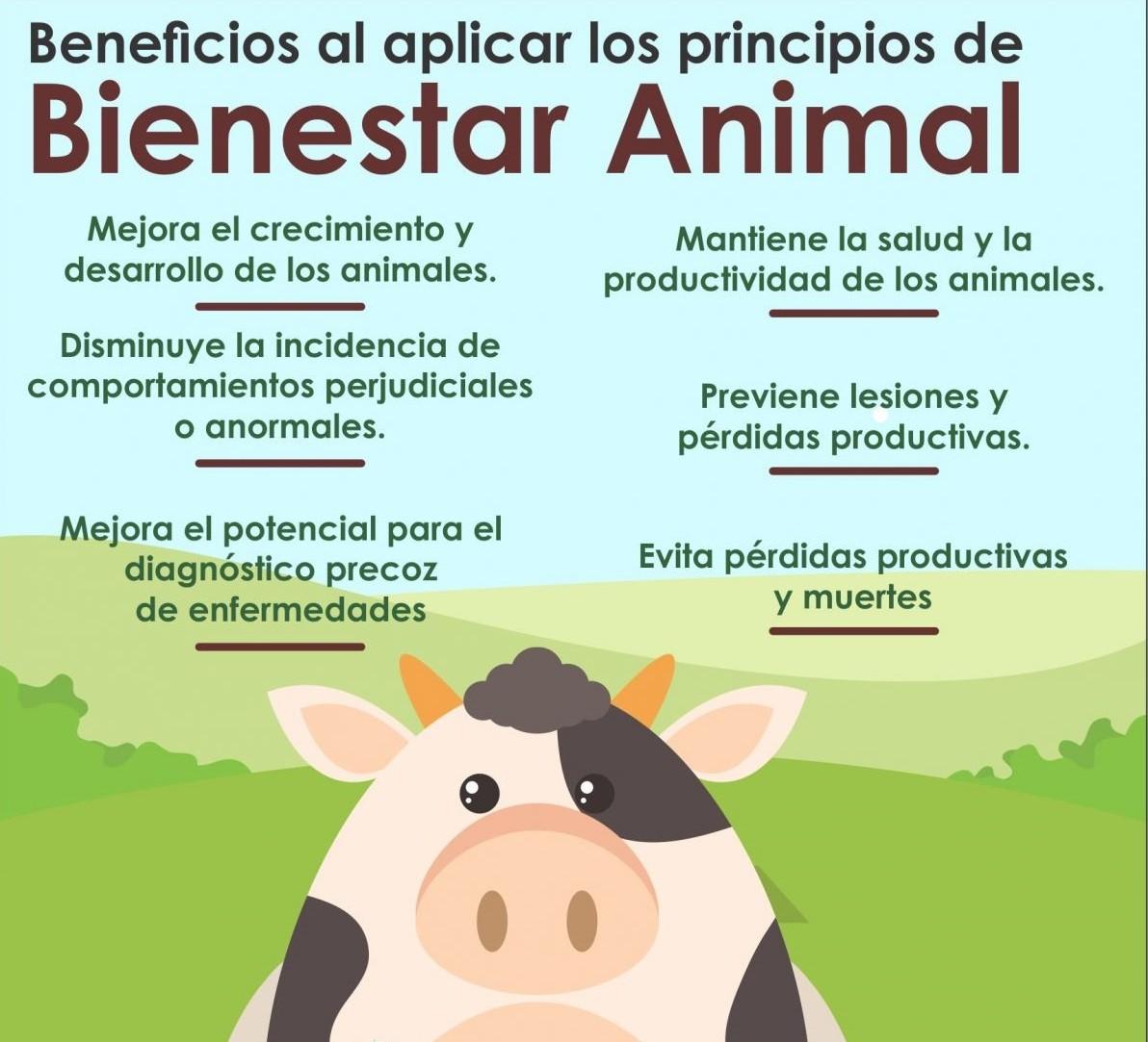 Ética en la producción animal by nicole castillo - Issuu