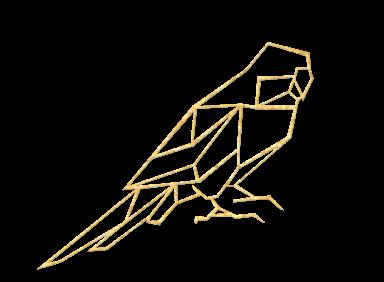 Brookhaven Brochure by Frasers Property Australia - Issuu