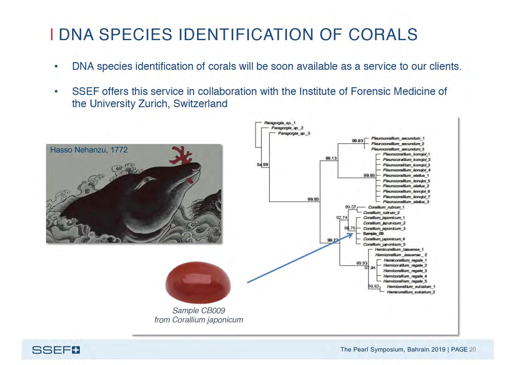 New frontiers in pearl analysis: age dating, DNA fingerprinting, and ...