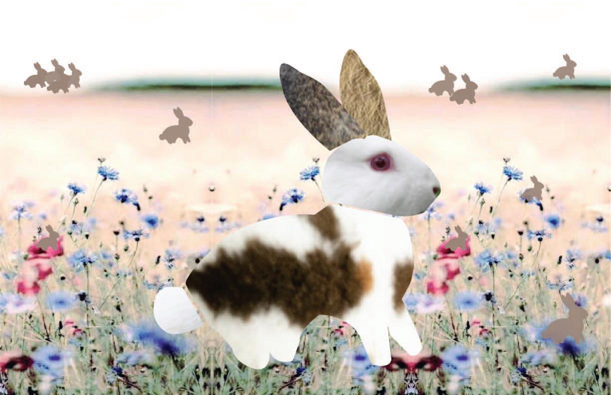 Bunny Rabbit Project by ALEXIAKKSS - Issuu