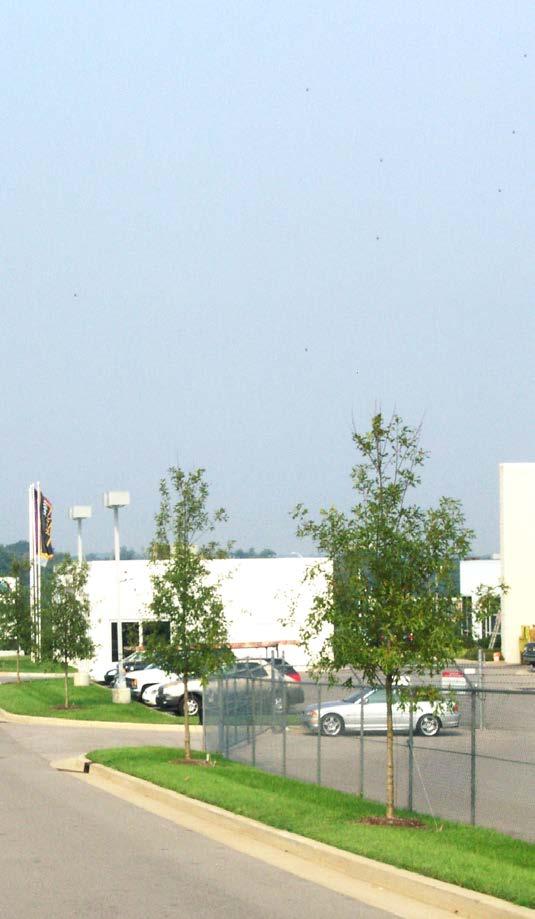 Select Trees Availability Portfolio by Select Trees - Issuu