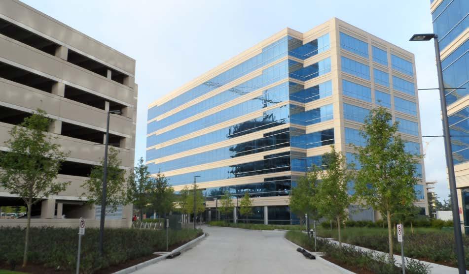 Select Trees Availability Portfolio by Select Trees - Issuu