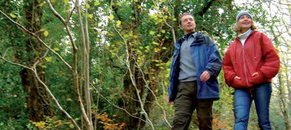 Mourne Mountains Walking Route Cards by VisitMourne - Issuu