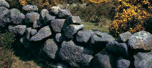 Mourne Mountains Walking Route Cards by VisitMourne - Issuu