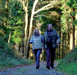 Mourne Mountains Walking Route Cards by VisitMourne - Issuu