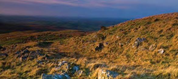 Mourne Mountains Walking Route Cards by VisitMourne - Issuu