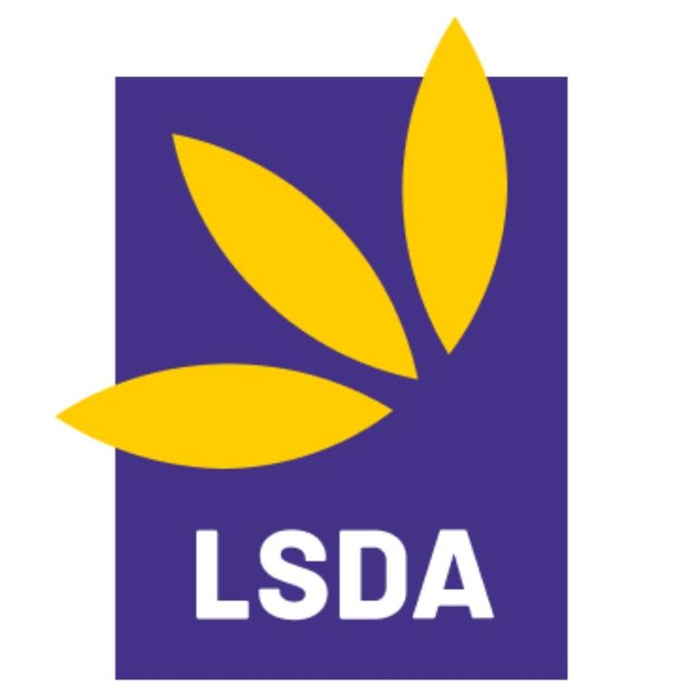 Socialinis darbas. Šiandien. Rytoj. 2022 m. Nr. 1 by Lietuvos ...