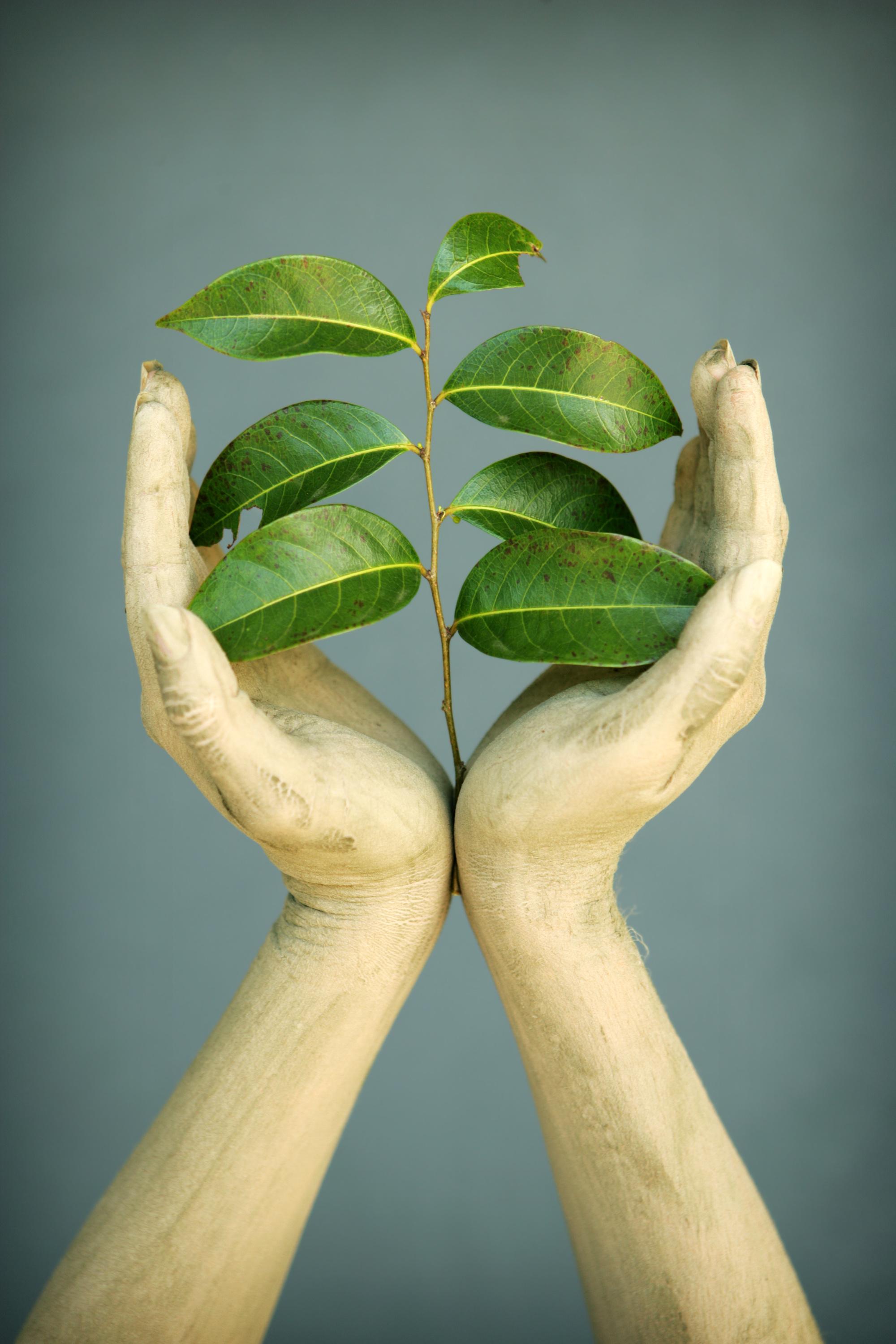 Socialinis darbas. Šiandien. Rytoj. 2022 m. Nr. 1 by Lietuvos ...