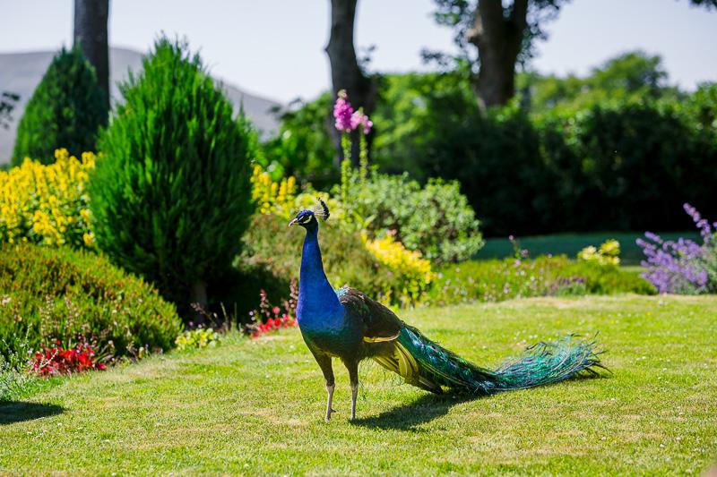 Simonstone Hall Wedding Brochure by Simonstone Hall Hotel - Issuu