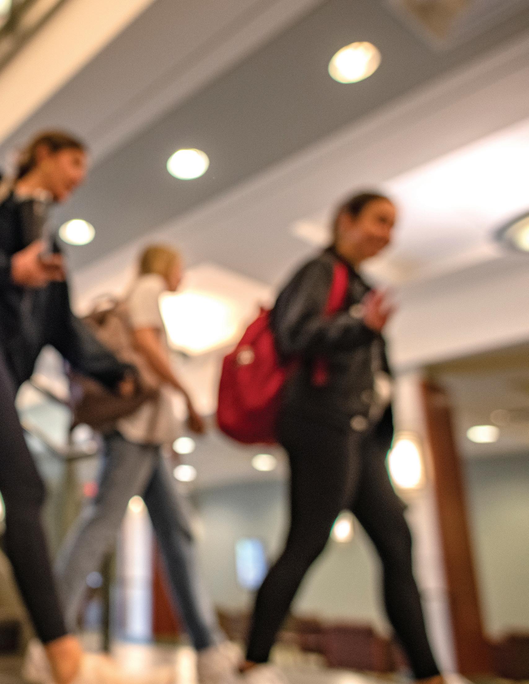 Vanderbilt Law School Viewbook by Vanderbilt Law School - Issuu