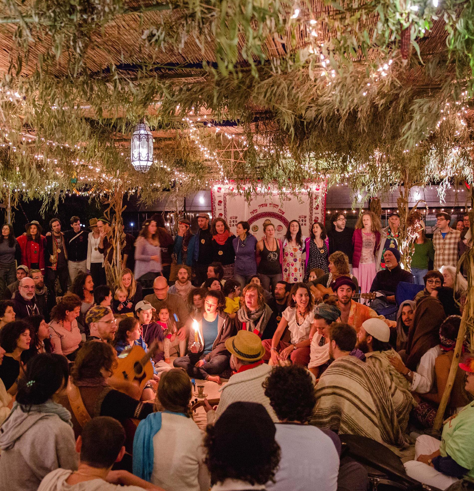 CREATING A MORE RESILIENT WORLD: Wilderness Torah's Strategic Plan ...