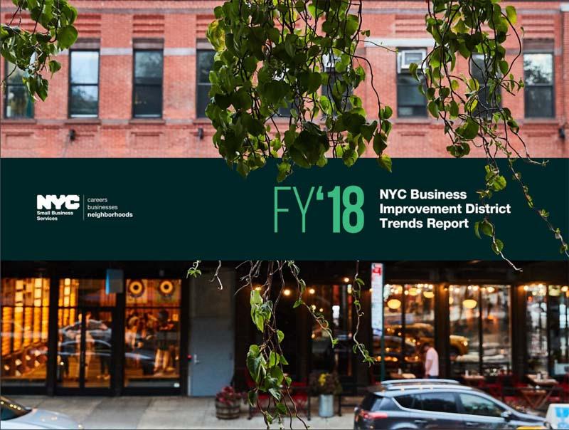 Geneva BID - A Survey for Action by Chris.lavin@genevabgc.org - Issuu