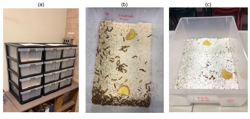 The Journal of Science Extension Research – Vol. 1, 2022 by Science ...