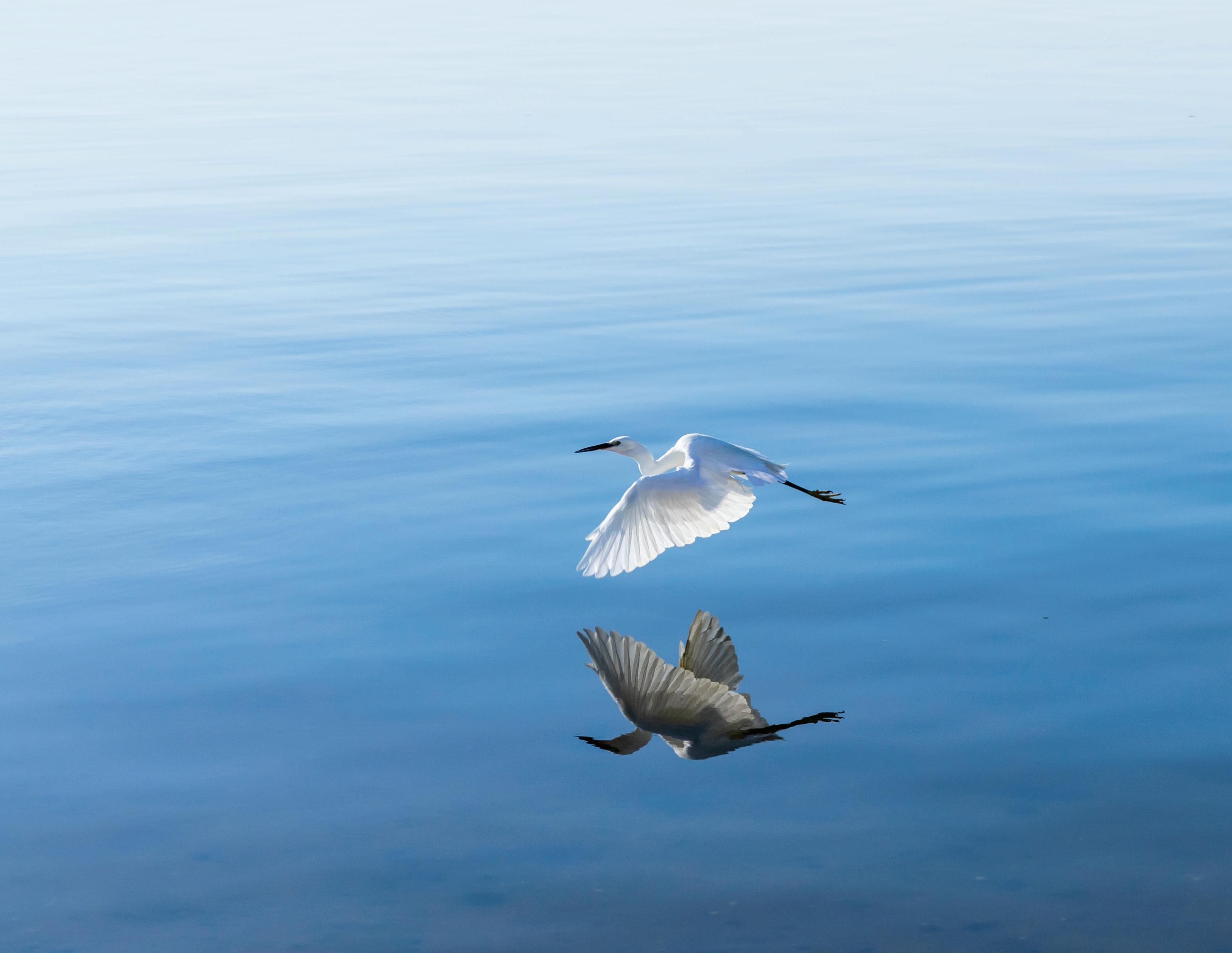 Veranda Bay Vision Book by VerandaBay - Issuu