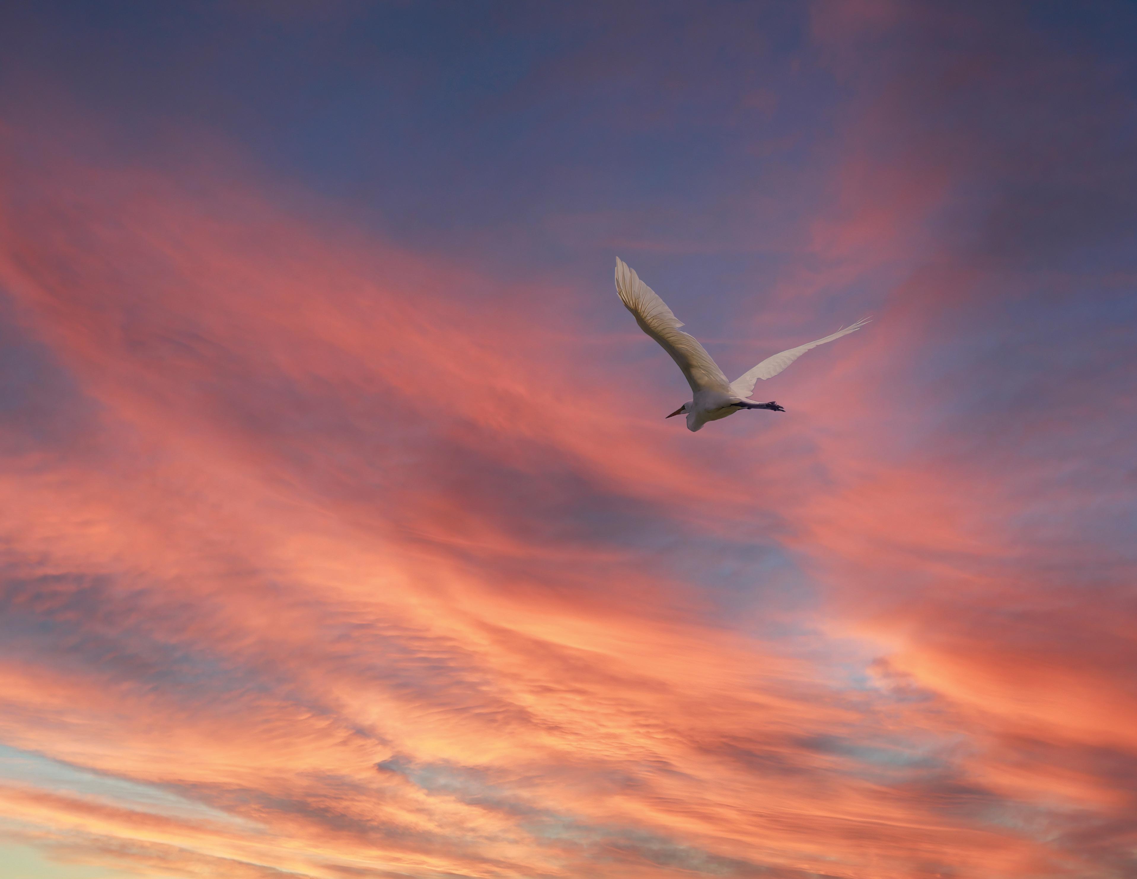 Veranda Bay Vision Book by VerandaBay - Issuu