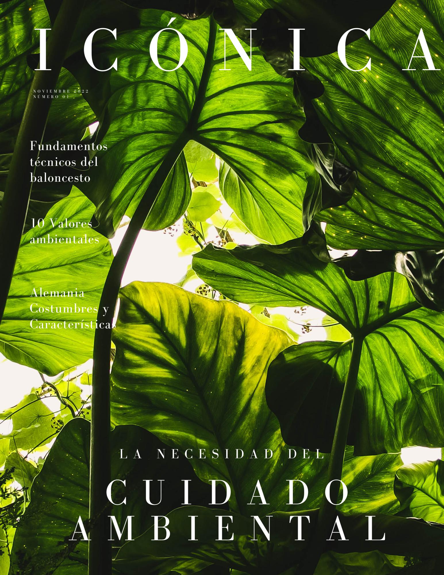 Revista Uc by LG-sN - Issuu
