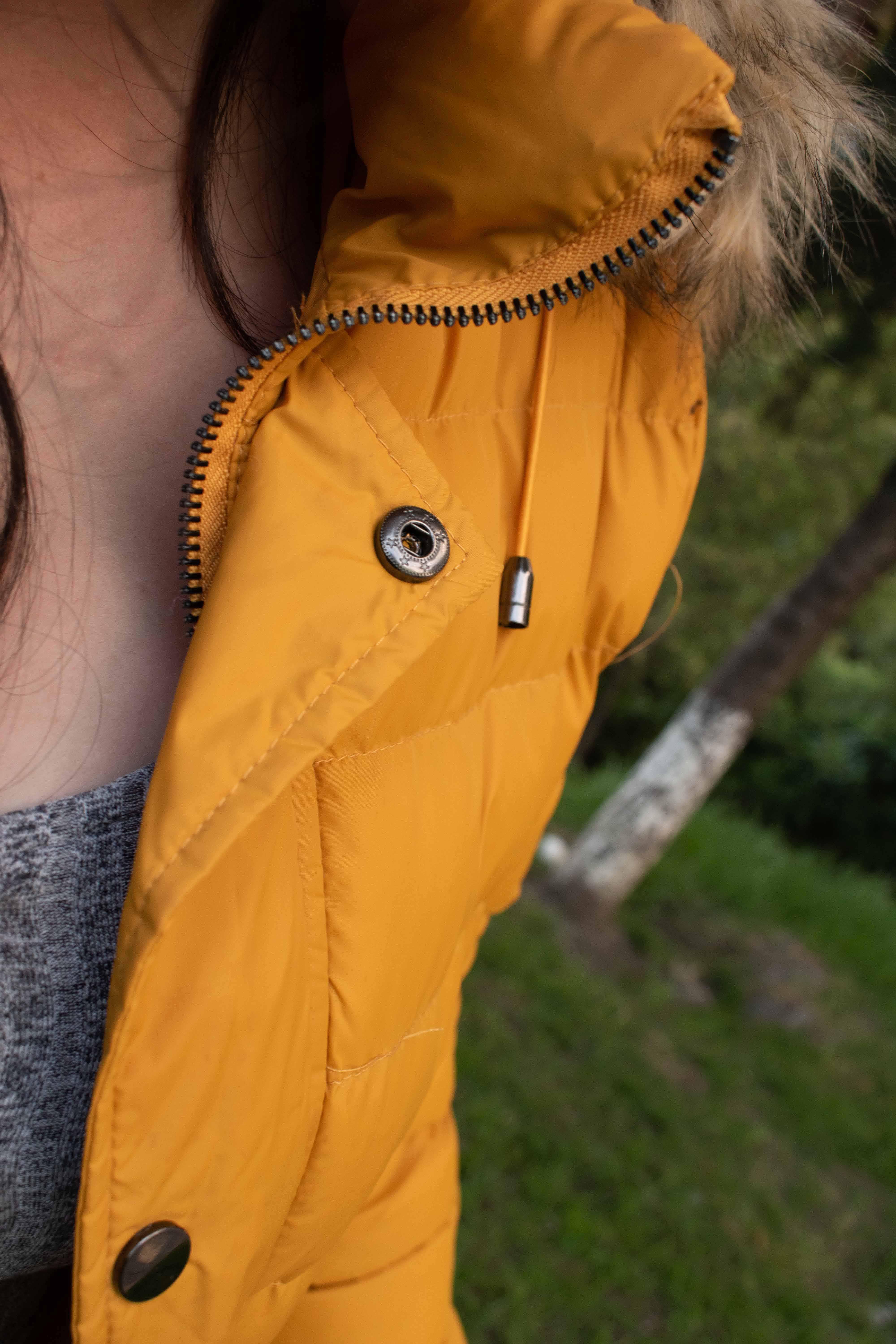 APPARANCE 2023 by yoshuarodas2002 - Issuu