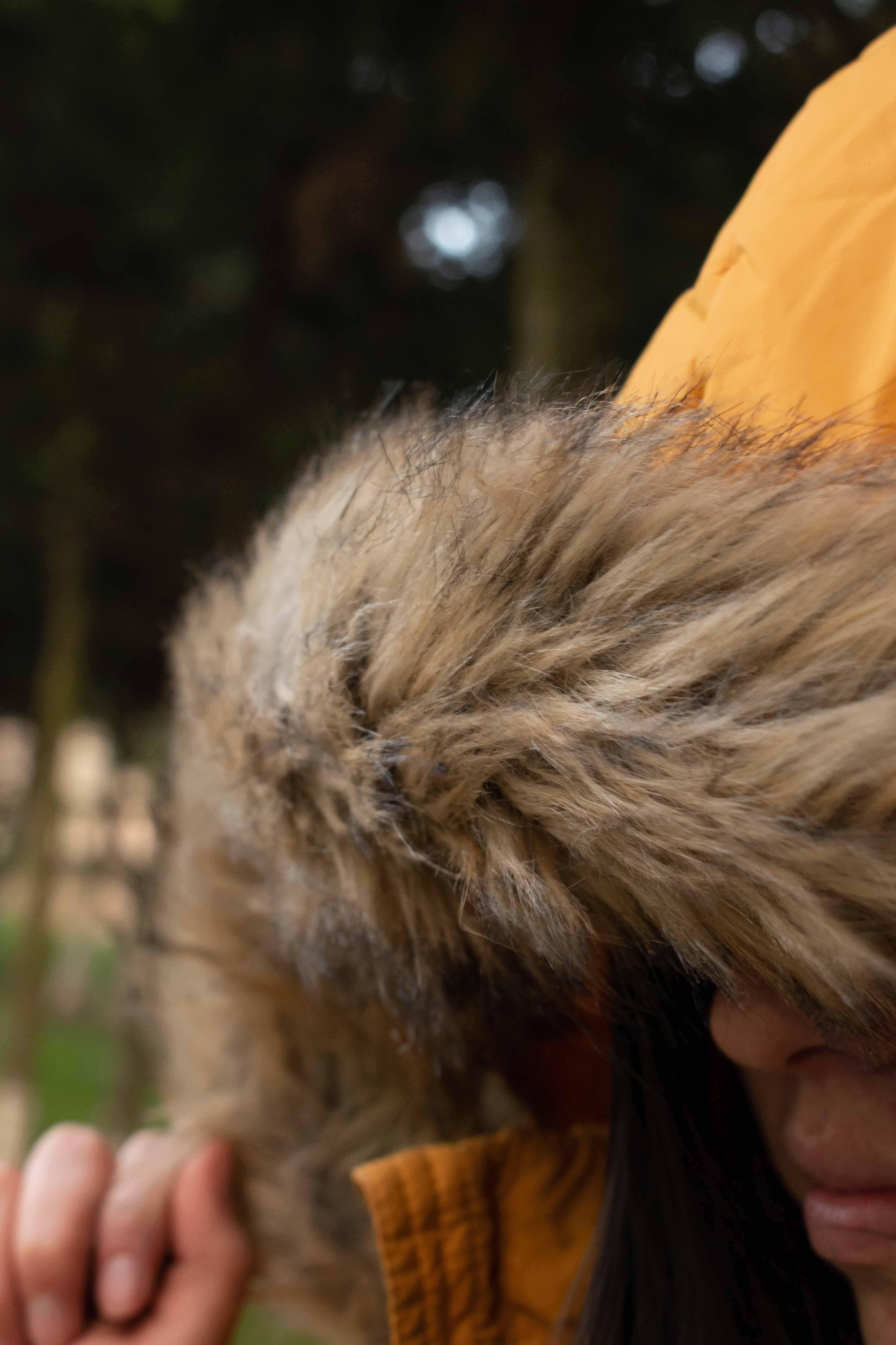 APPARANCE 2023 by yoshuarodas2002 - Issuu