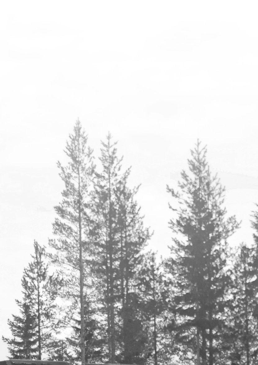 Price list_forestry tracks and traction chains by pewag - Issuu