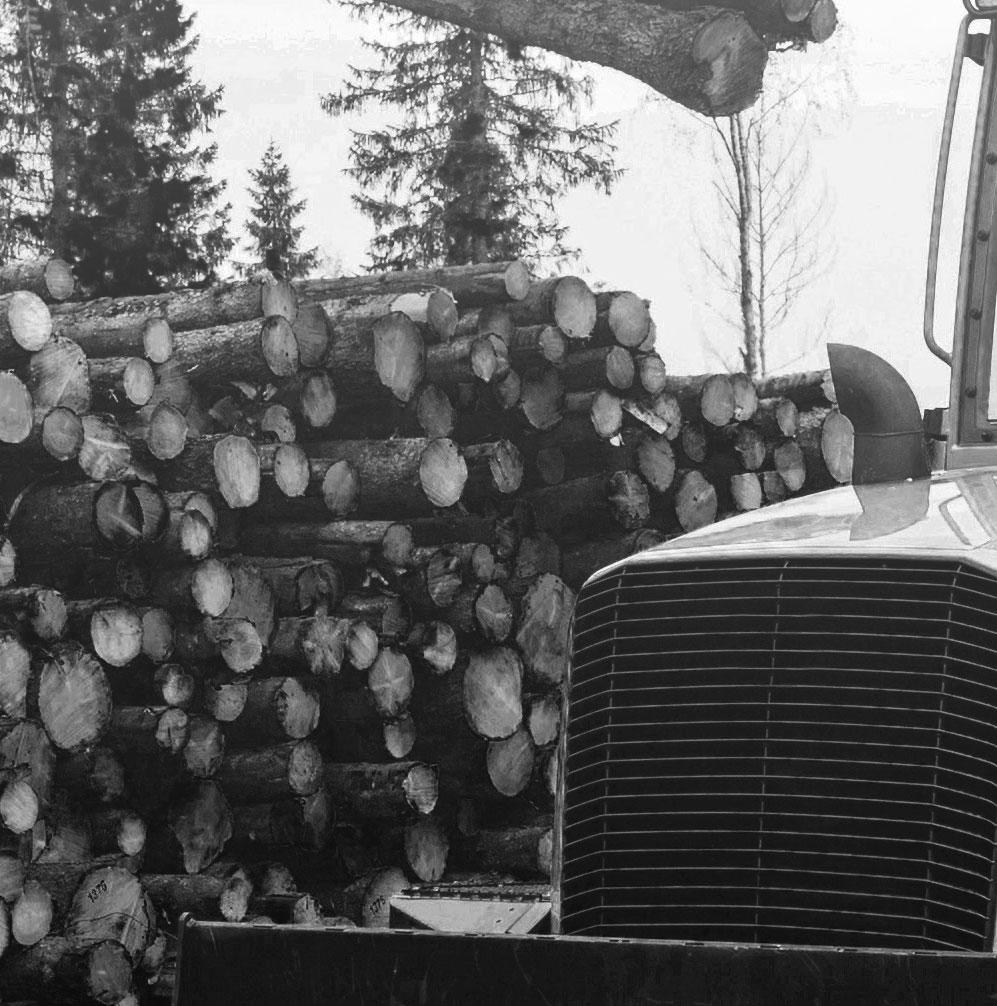 Price list_forestry tracks and traction chains by pewag - Issuu