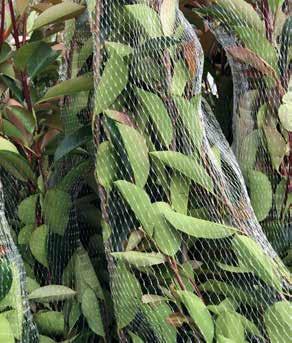 Molteni S.r.l. - Catalogo 2023 Reti in plastica by moltenisrl - Issuu