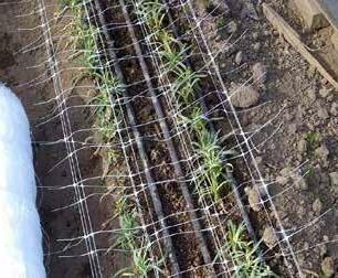 Molteni S.r.l. - Catalogo 2023 Reti in plastica by moltenisrl - Issuu