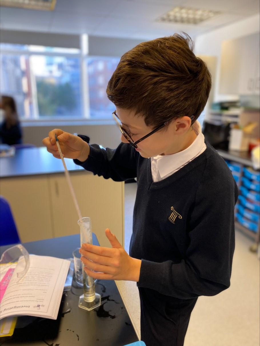 Weekly Buzz 28 November 2022 by Portland Place School - Issuu