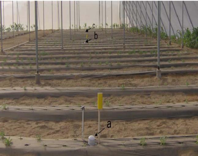 Prediction and Analysis of Water Requirement in Automated Irrigation System Using ANN And Lora ...