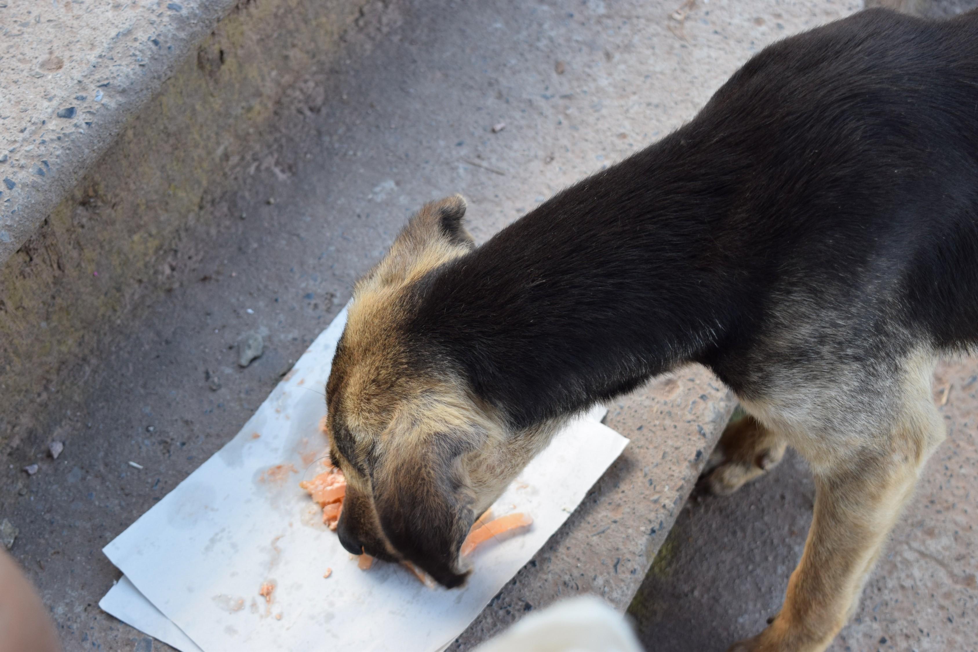 Fotografía Narrativa by AX. MAURICIO ISAI TORRES BERNAL - Issuu