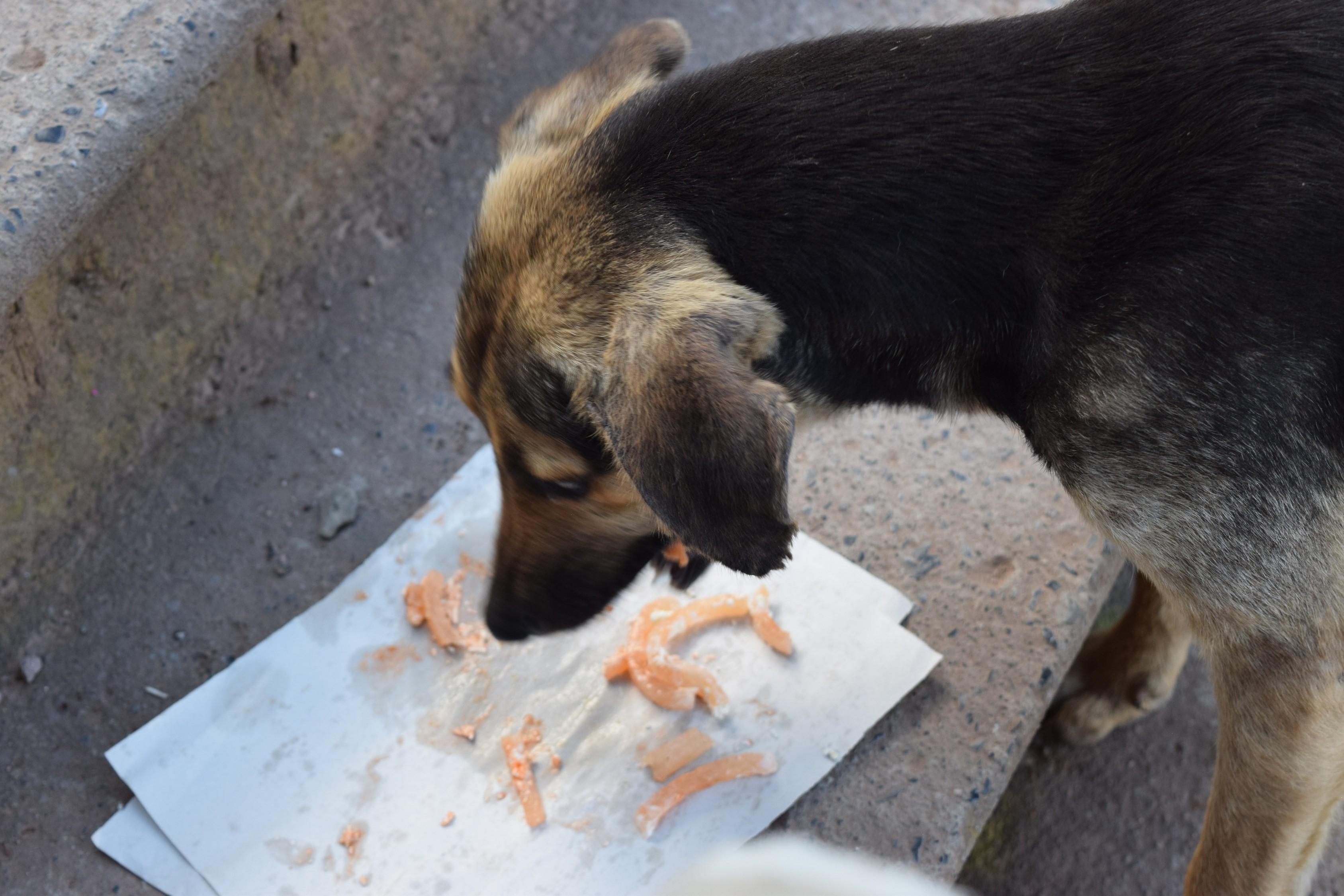 Fotografía Narrativa by AX. MAURICIO ISAI TORRES BERNAL - Issuu