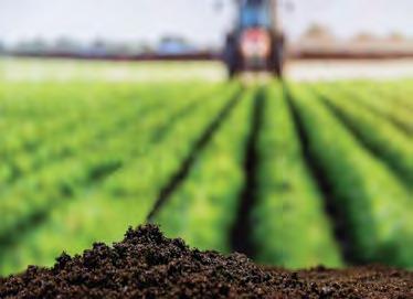 Vegetables & Fruit November/December 2022 by Vegetables & Fruit - Issuu