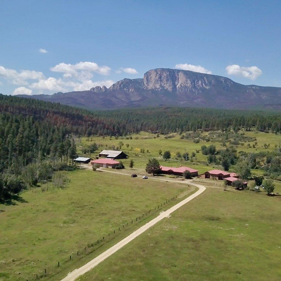 Rancho San Ignacio | Fay Ranches by Fay Ranches - Issuu