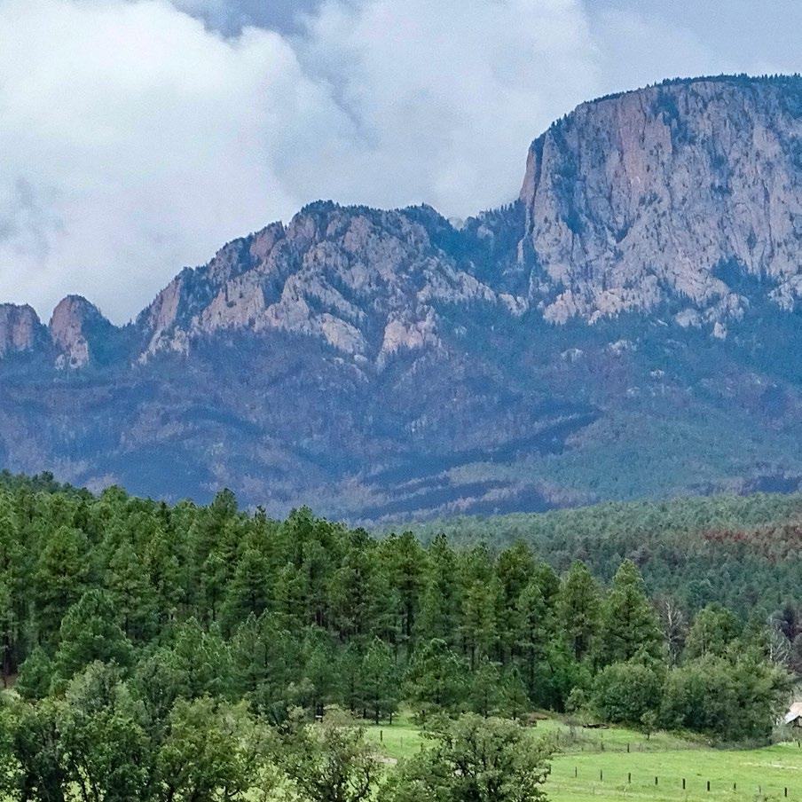 Rancho San Ignacio | Fay Ranches by Fay Ranches - Issuu