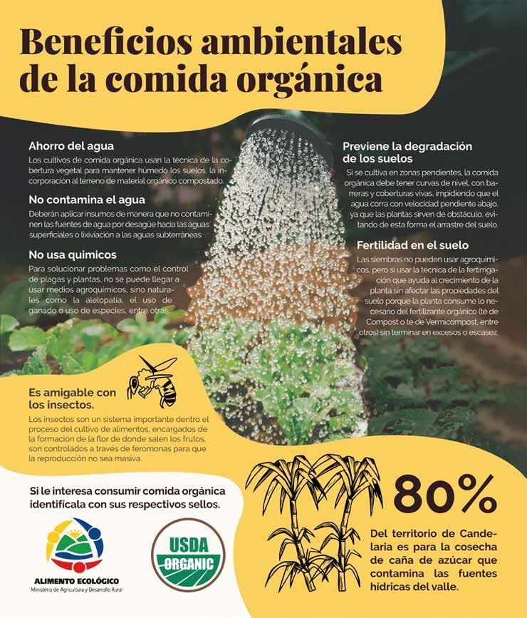 Librillo de Comida Orgánica by JUAN SEBASTIAN MARTINEZ MARTINEZ - Issuu