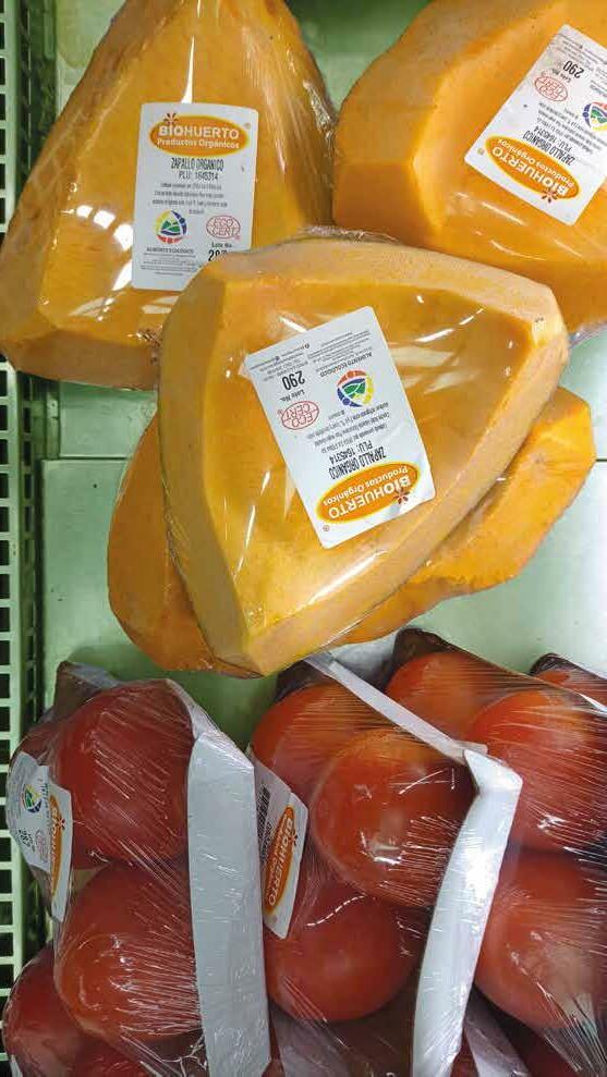 Librillo de Comida Orgánica by JUAN SEBASTIAN MARTINEZ MARTINEZ - Issuu