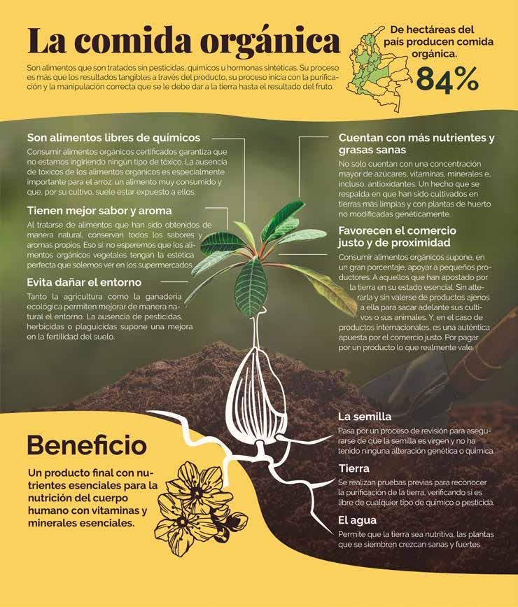 Librillo de Comida Orgánica by JUAN SEBASTIAN MARTINEZ MARTINEZ - Issuu