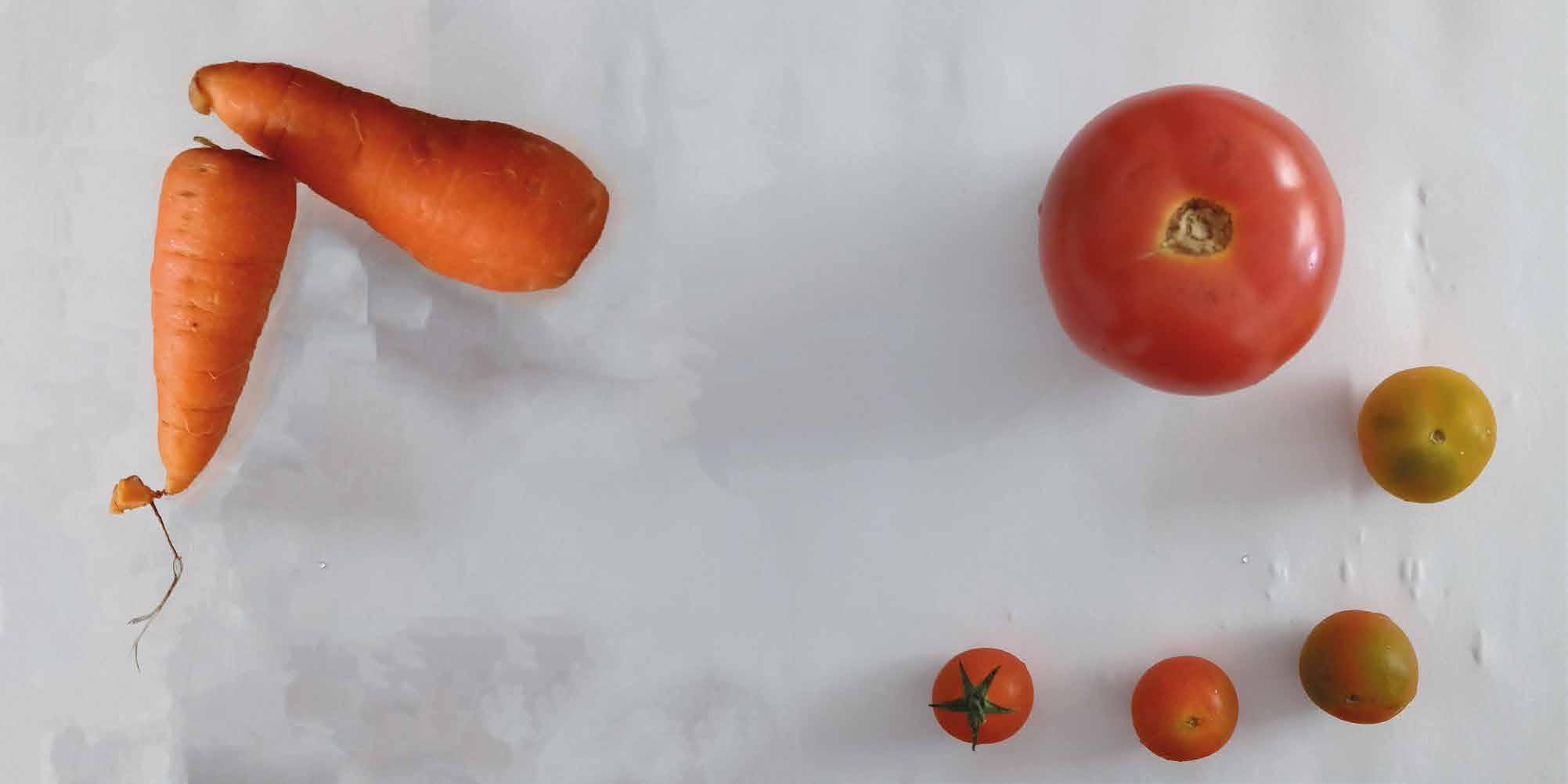 Librillo de Comida Orgánica by JUAN SEBASTIAN MARTINEZ MARTINEZ - Issuu