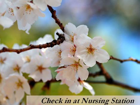 Victoria General Hospital Patient and Family Guide by Willow Publishing ...