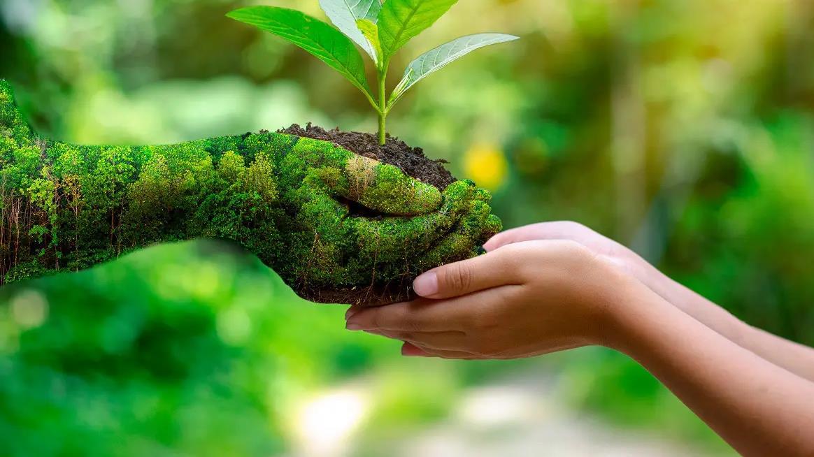 Consultura Q’umir Kawsay S.A by Mary Cuichán - Issuu